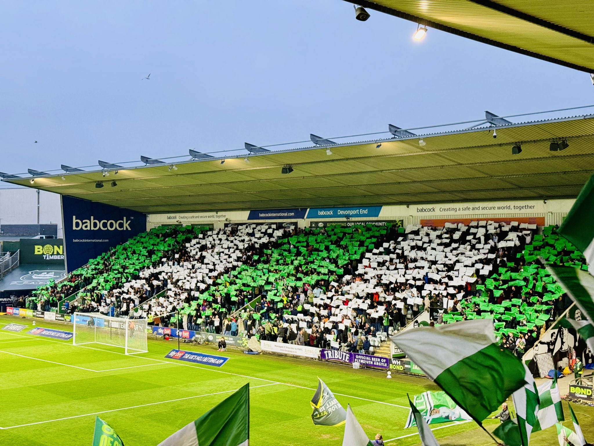 Owen Oseni: What to Expect? – Argyle Life